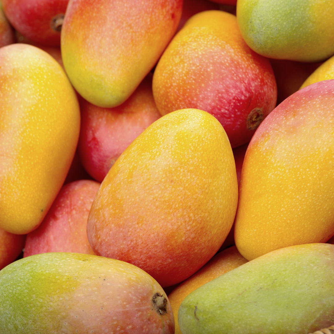 Sea Salt & Mango Fragrance Oil | Morouge – MOROUGE CANADA